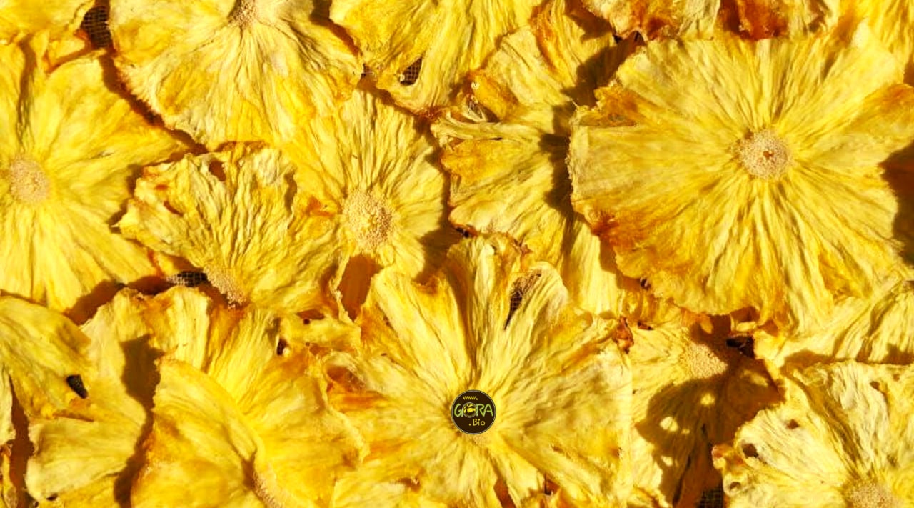 Why is pineapple covered in scales? – GoRa.Bio